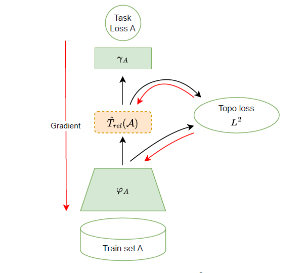 Topological regularization and relative latent representations | Alejandro García